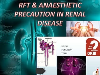 Renal function test | PPT