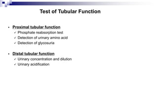 Renal function test | PPTX