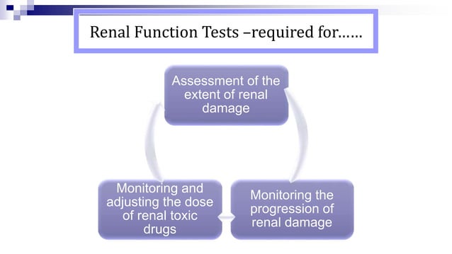 Renal function test | PPTX | Lung and Respiratory Health | Diseases and ...