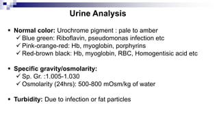 Renal function test | PPTX