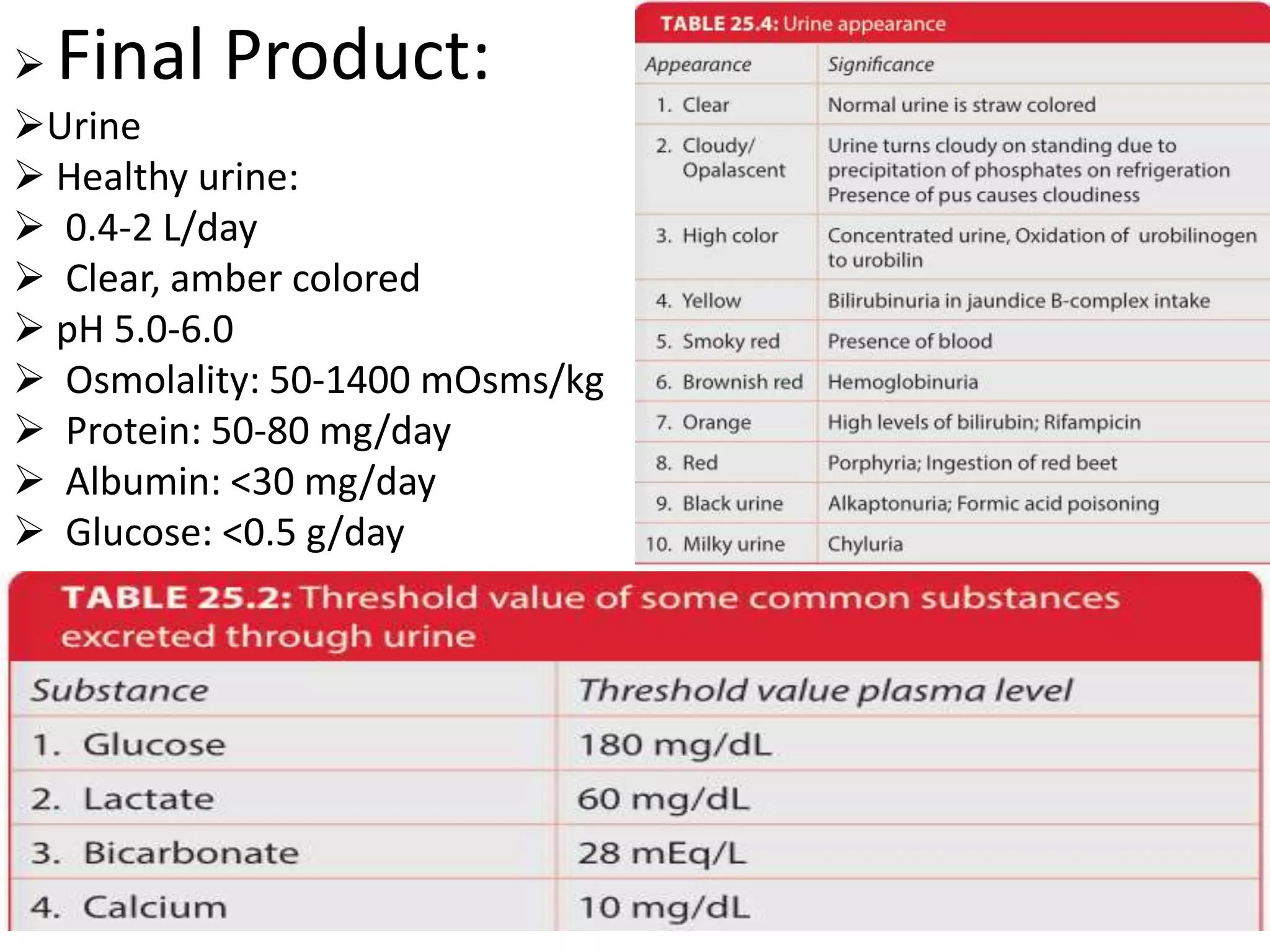 Renal function test | PPTX