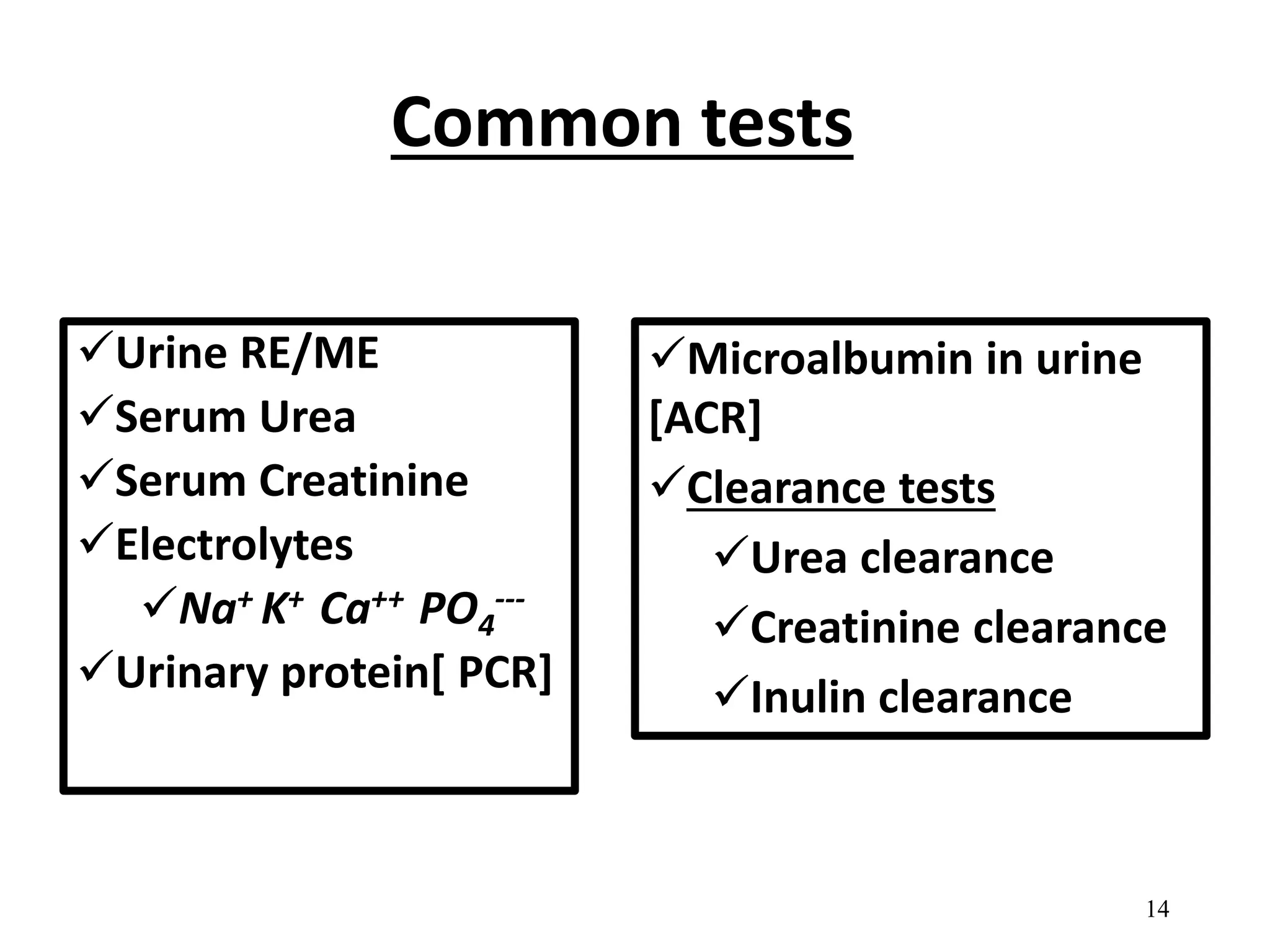 Renal function test for mbbs, bds, nursing, paramedics .pptx