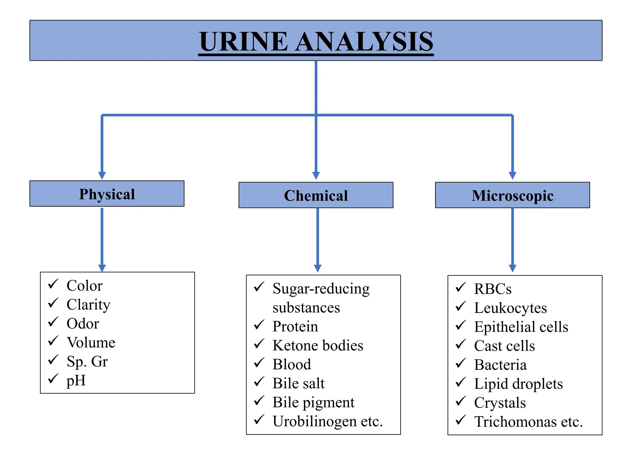 Renal function test for mbbs, bds, nursing, paramedics .pptx