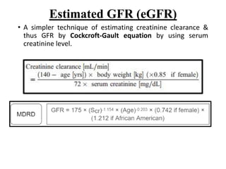 Renal function test for mbbs, bds, nursing, paramedics .pptx