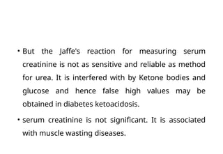 Renal Function Test_Nursing.pptx. Kidney Function Test | PPTX | Blood ...