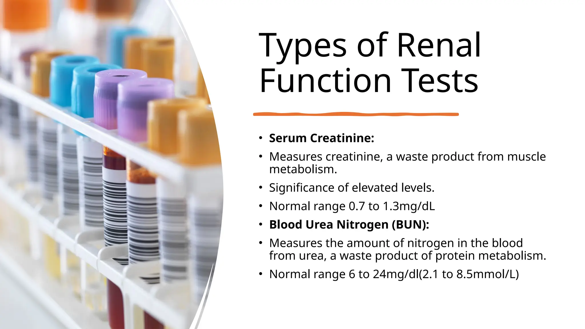 Renal Function Test or Kidney function Test-1.pptx