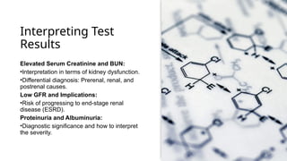 Renal Function Test or Kidney function Test-1.pptx