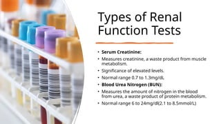 Renal Function Test or Kidney function Test-1.pptx