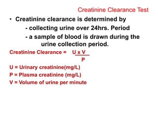 Renal function tests | PPTX