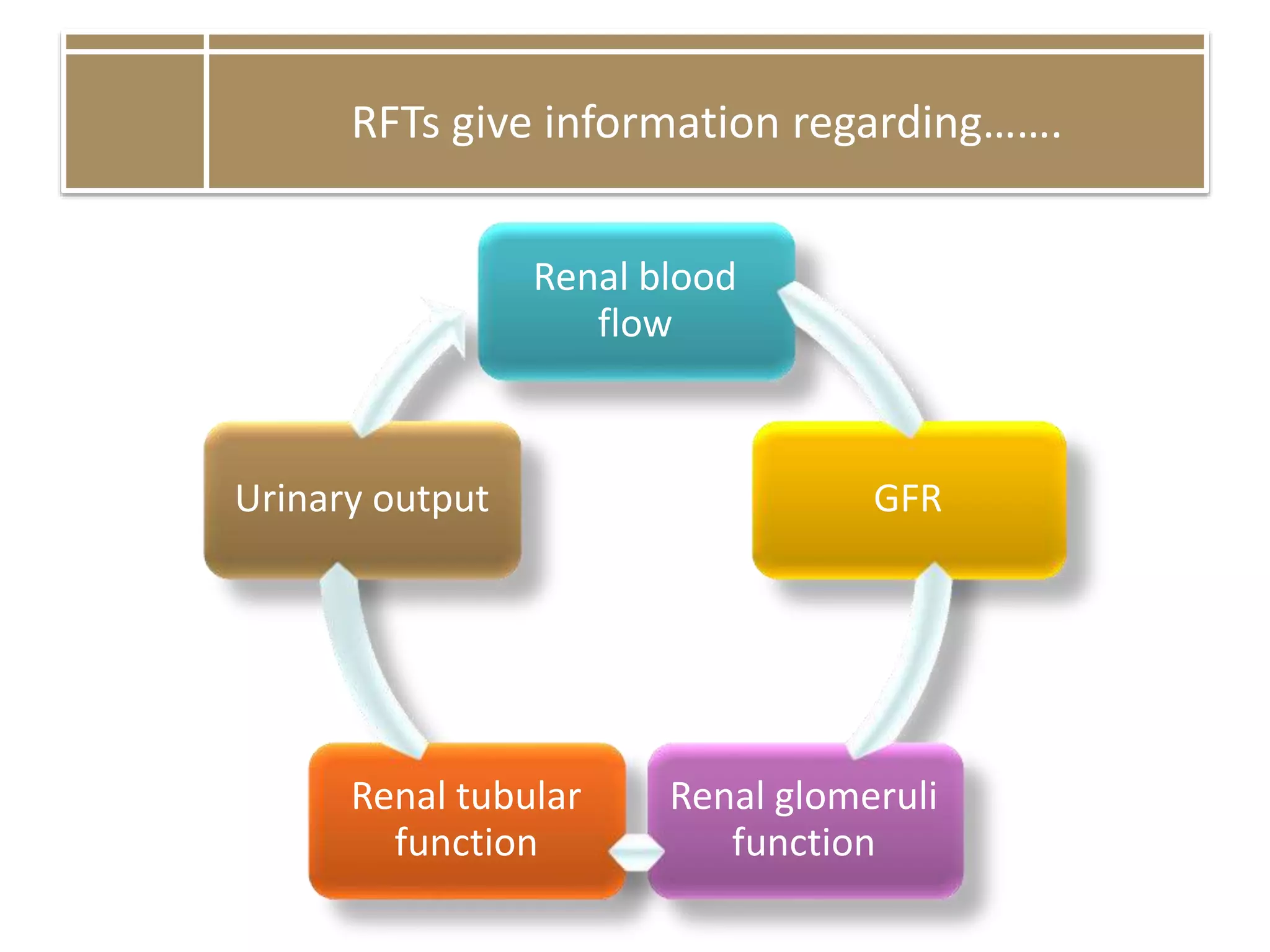 Renal Function Tests Ppt