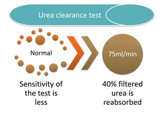 Renal function tests | PPT