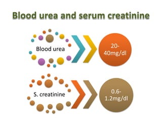 Renal function tests | PPT