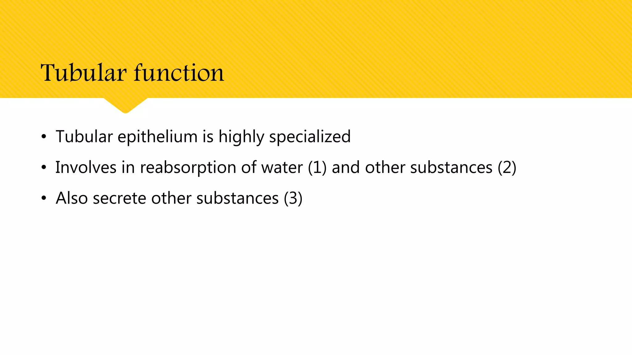 Renal function tests | PPTX