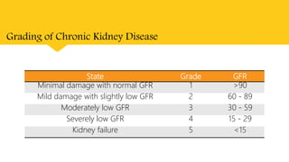 Renal function tests | PPTX