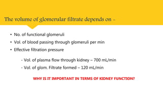 Renal function tests | PPTX