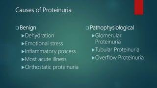 Renal Function Tests | PPTX