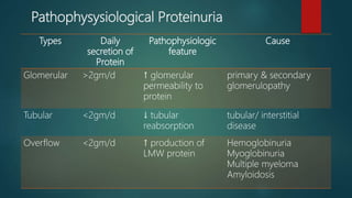 Renal Function Tests | PPTX