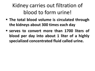 RENAL FUNCTION TESTS.ppt