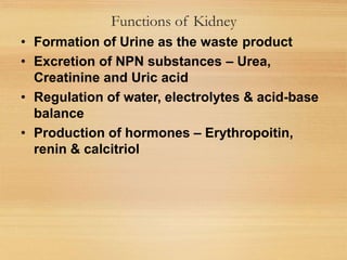 RENAL FUNCTION TESTS FOR PARAMEDICAL AND MEDICAL STUDENTS | PPT