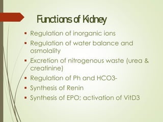 Interpretation of Renal Function Tests UG | PDF
