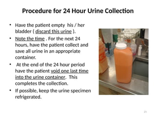 Renal function tests to assess the functions of kidney | PPTX