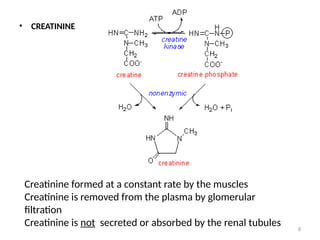 Renal function tests- IN HEALTH AND DISEASES. | PPT
