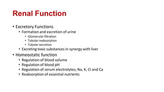 Renal function Tests - PPT..........pptx