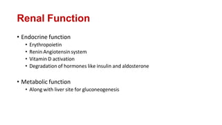 Renal function Tests - PPT..........pptx