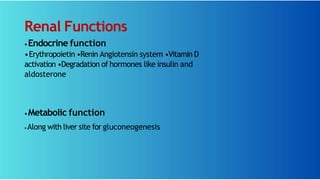 Renal function Tests seminar - PPT.pptx. | PPT