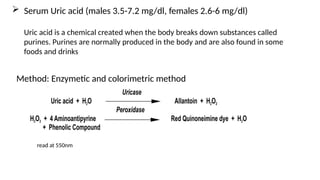Renal function Tests or kidney function test- PPT.pptx