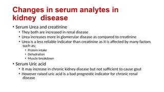 Renal function Tests or kidney function test- PPT.pptx
