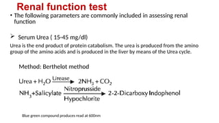 Renal function Tests or kidney function test- PPT.pptx