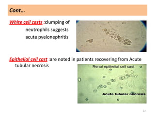Renal Function Tests by Dr.Ankur Puri | PPTX