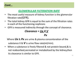 Renal Function Tests by Dr.Ankur Puri | PPTX