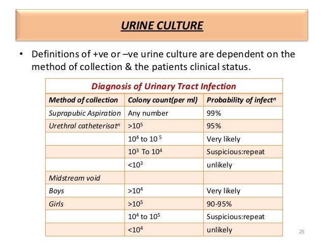 Renal Function Tests by Dr.Ankur Puri