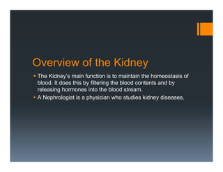 Renal & gi | PDF