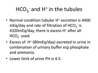 Renal glucose and acid base balance agasi | PPT