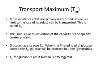 Renal glucose and acid base balance agasi | PPT