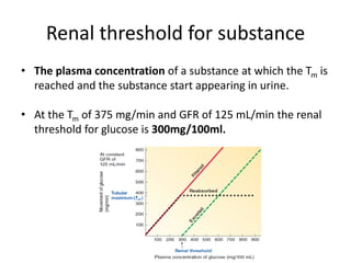 Renal glucose and acid base balance agasi | PPT