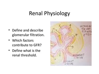Renal gss | PPT