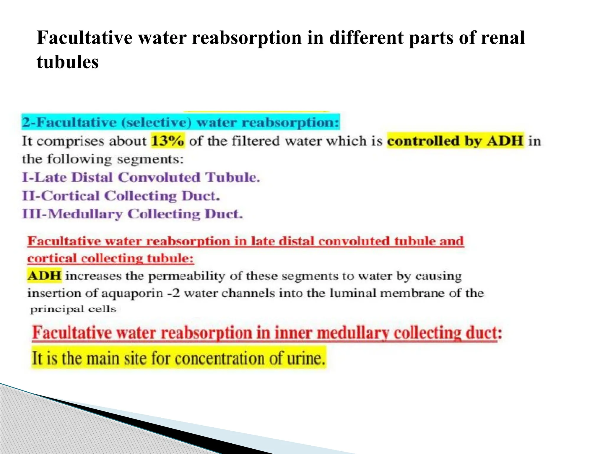 renal handeling of some plasma constituents.pptx