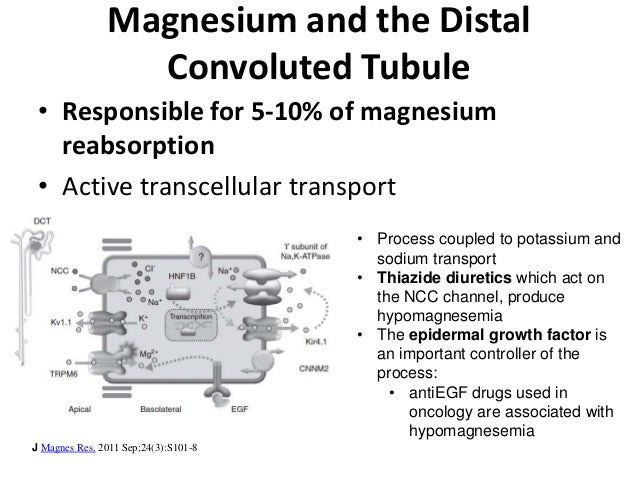 Renal handling of Calcium, Phosphorus and Magnesium