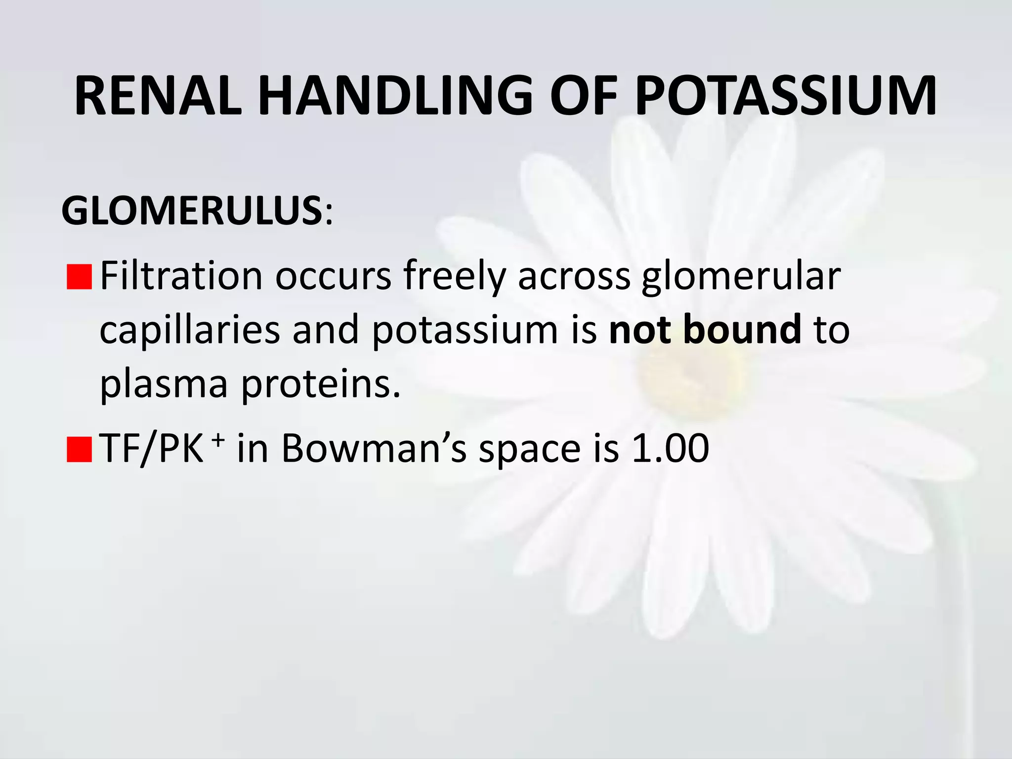 Renal handling of potassium ions | PPTX