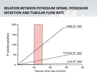Renal handling of potassium ions | PPTX