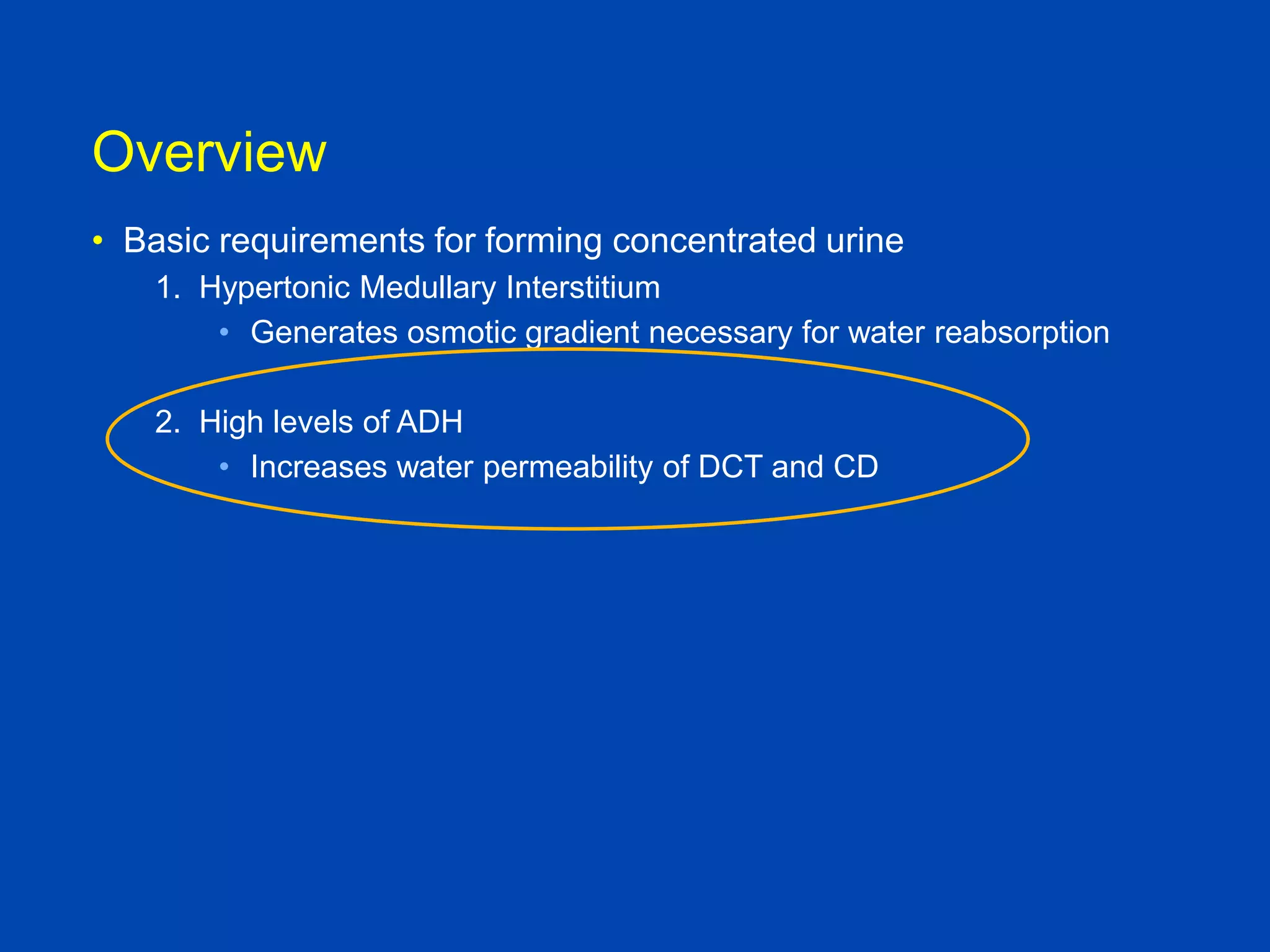 Renal handling of water | PPTX