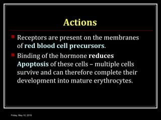 RENAL HORMONES | PPT