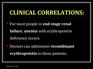 RENAL HORMONES | PPT