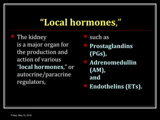RENAL HORMONES | PPT