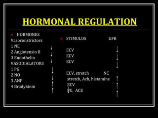 Renal hormones | PPT