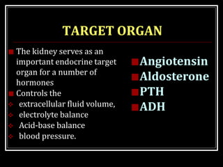 RENAL HORMONES.pptx | Endocrine and Metabolic Diseases | Diseases and ...